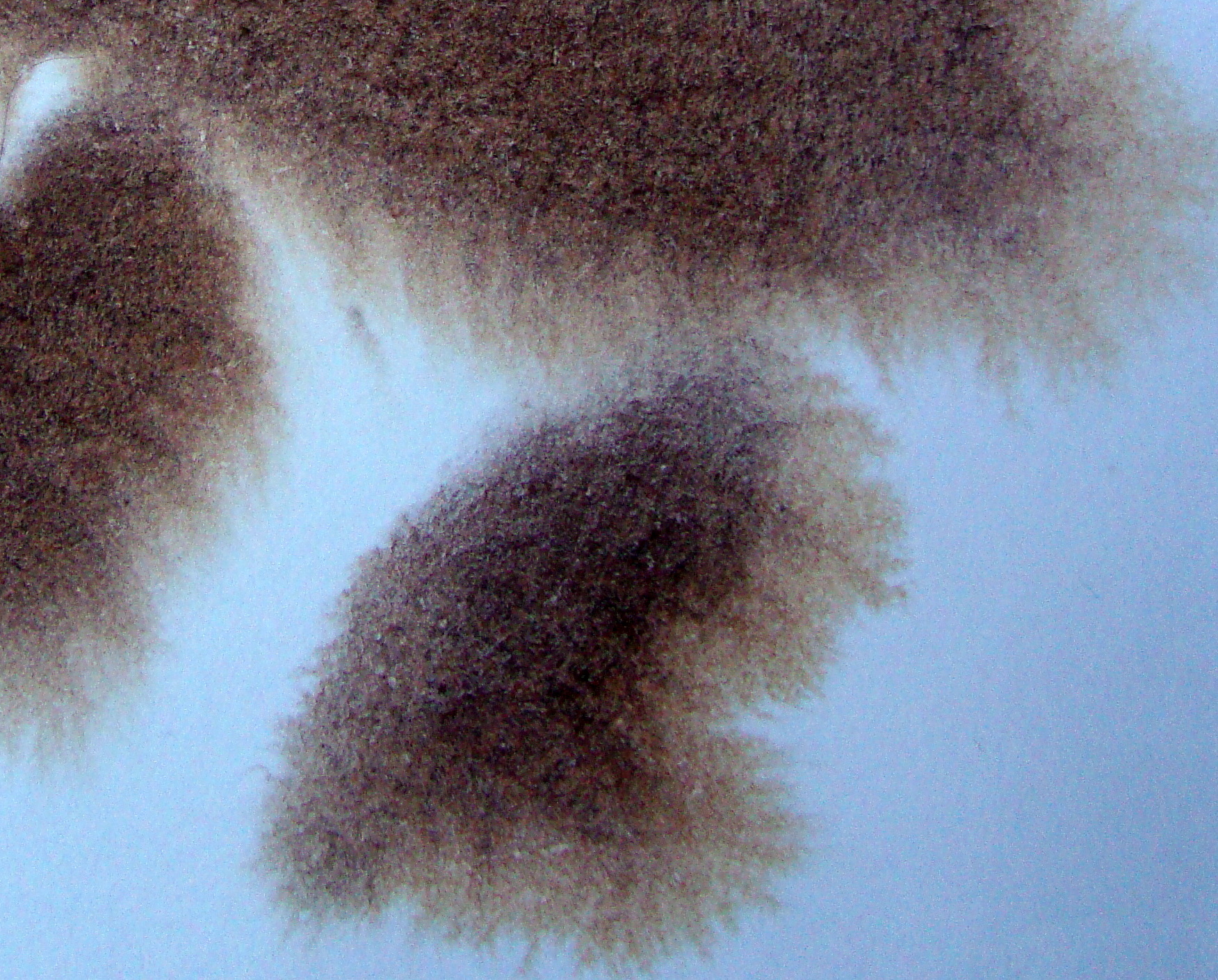 Transparency charts – Watercolor Journal