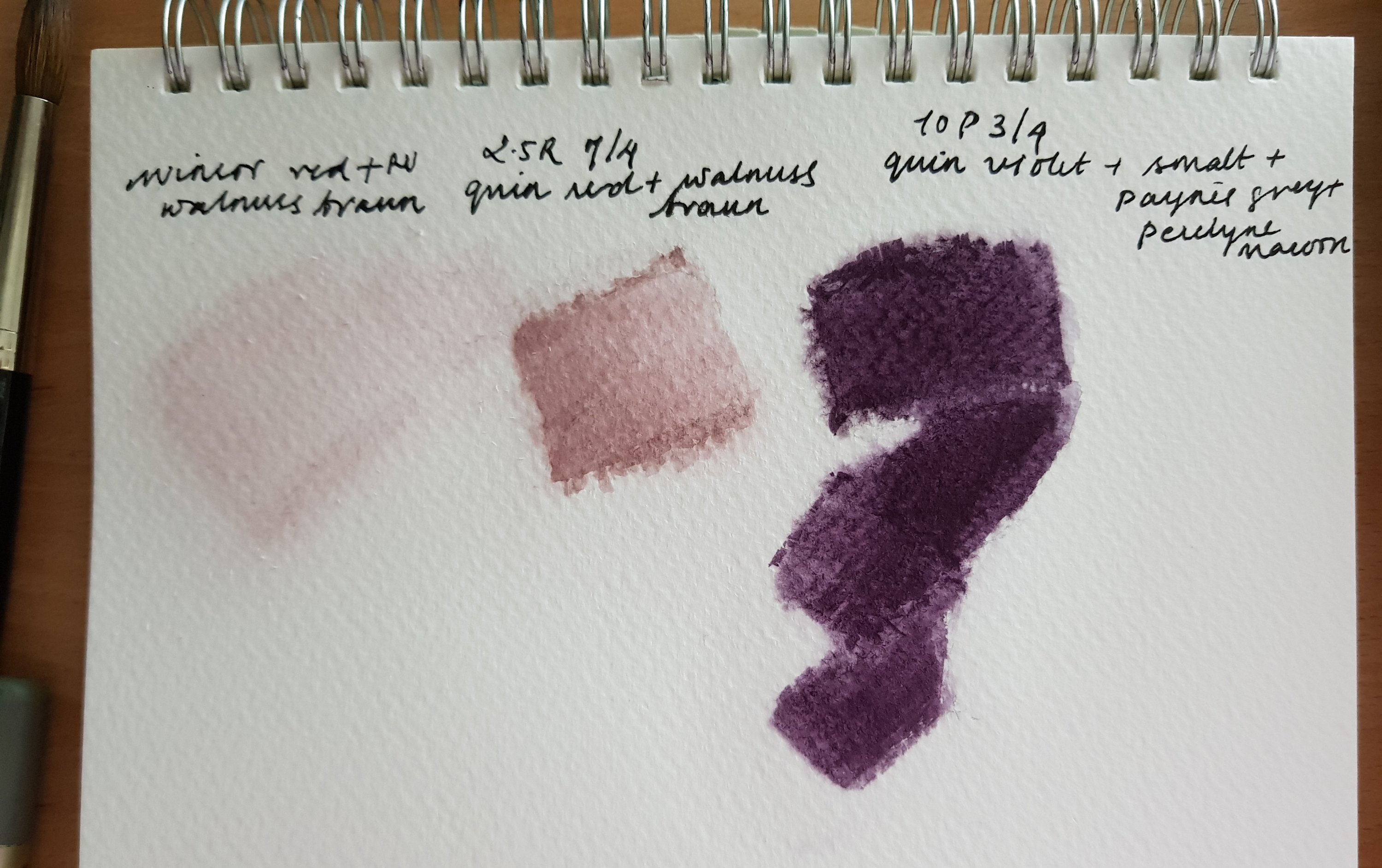 A blush, dusky rose and a deep wine – Watercolor Journal