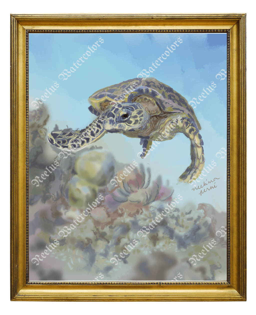 Sea turtle – how to draw – Watercolor Journal